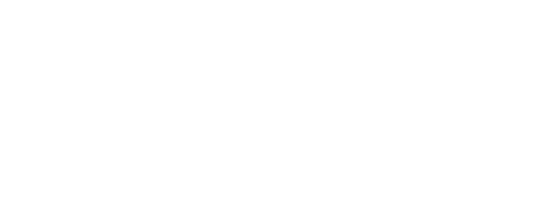 Company — BiL Inc.